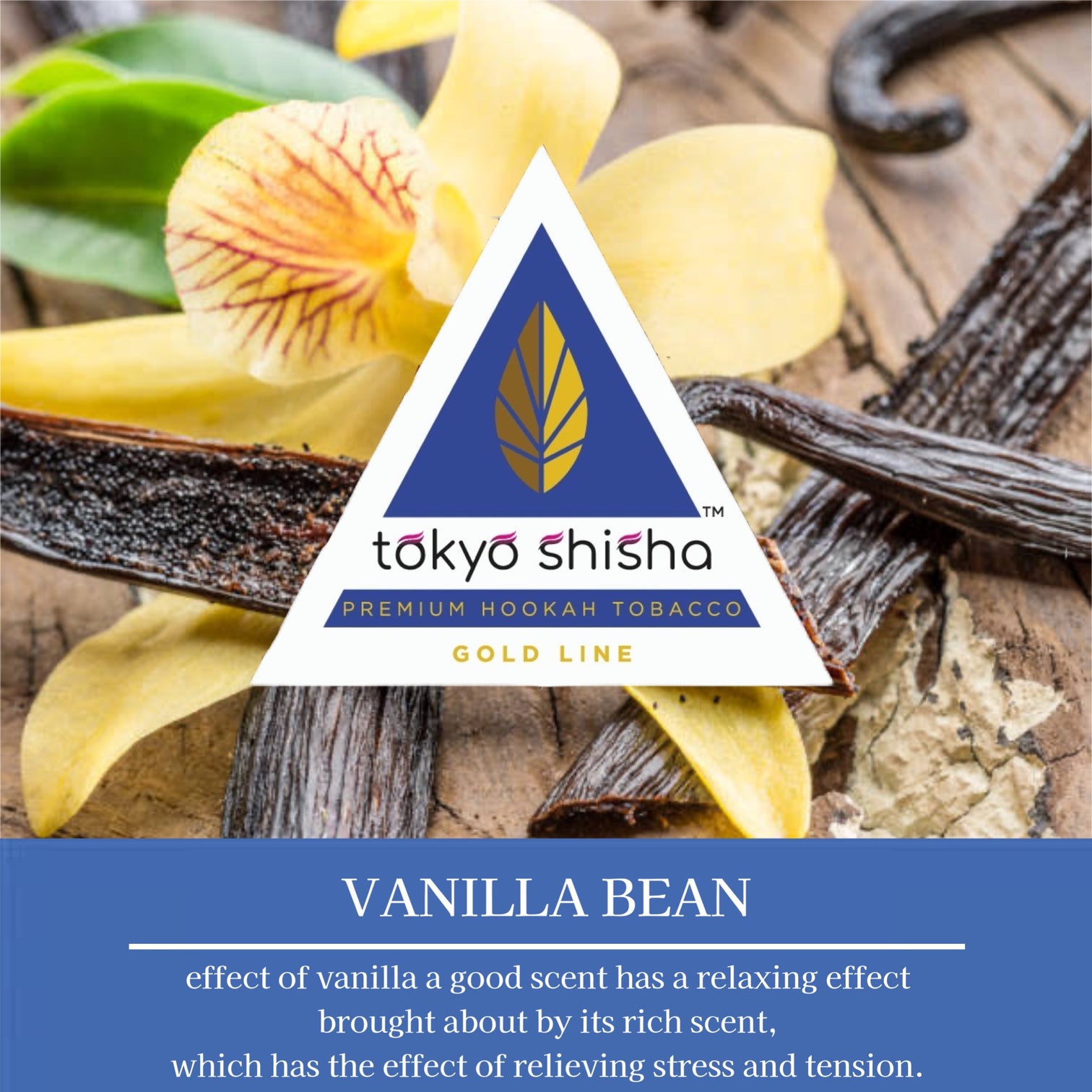 Tokyo Shisha - Tokyo Shisha - Tokyo Shisha Gold Line/トーキョーシーシャゴールドライン